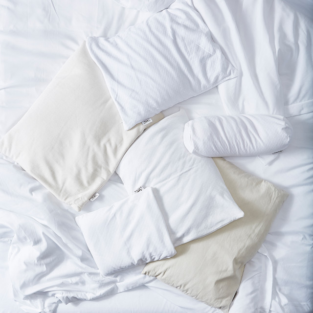Bucky Buckwheat Bed Pillow, white - Bed Pillows - by Design Imports | Houzz