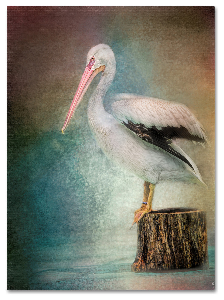 Jai Johnson 'Perched Pelican' Canvas Art, 24"x18" - Beach Style ...