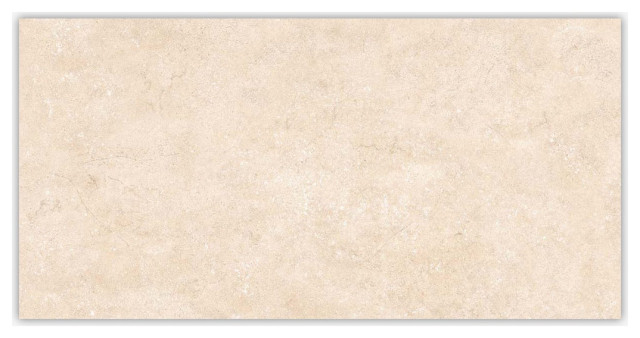 Ark Ivory Matte 12x24 Porcelain Tile - Traditional - Wall And Floor ...
