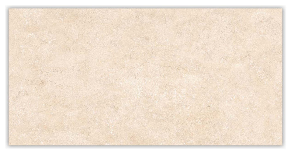 Ark Ivory Matte 12x24 Porcelain Tile, 12X24 - Traditional - Wall And ...
