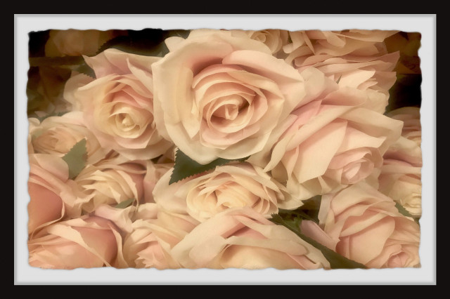 "Rustic Roses" Framed Painting Print, 12"x8" - Traditional - Prints And ...