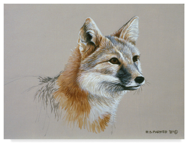 Ron Parker 'Swift Fox' Canvas Art, 19"x14" - Rustic - Prints And ...