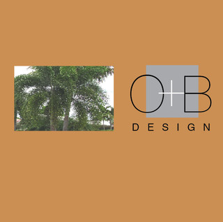 O+B DESIGN - Project Photos & Reviews - New York, NY US | Houzz