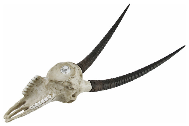 African Sable Antelope Skull Wall Hanging, Small - Eclectic - Wall ...