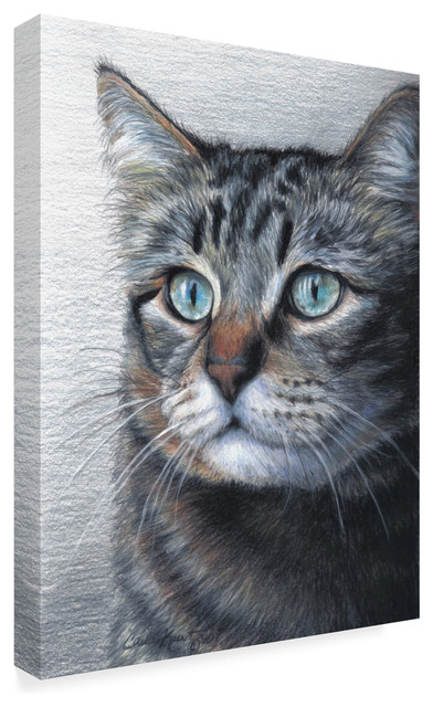 Carla Kurt 'Cat Portrait' Canvas Art, 24"x32" - Contemporary - Prints ...