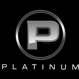 PLATINUM BUILDING SOLUTIONS LLC - Project Photos & Reviews - North ...