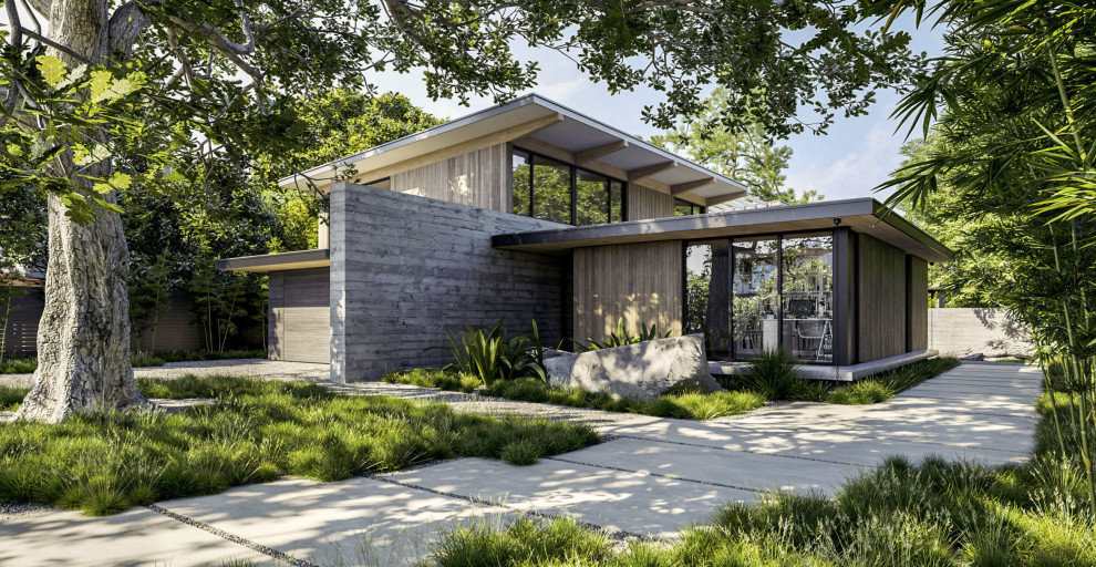 Modern Architect-designed House with Contemporary Verdant Planting ...