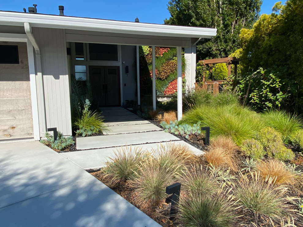 Living Green Wall and Landscape Remodel - Mid-Century Modern Home ...