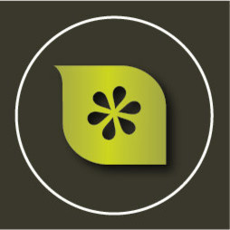 STUDIOLEMONADE.COM - Project Photos & Reviews - Denver, CO US | Houzz