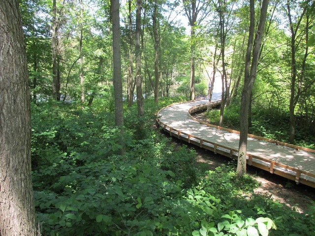 What We Can Learn From Longwood Gardens’ New Meadow