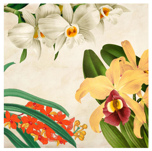 "Panneau Botanique VIII" Digital Paper Print by Remy Dellal, 20"x20 ...