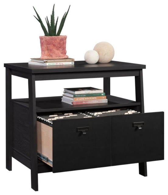 Pemberly Row Engineered Wood Lateral File Cabinet in Raven Oak Finish ...