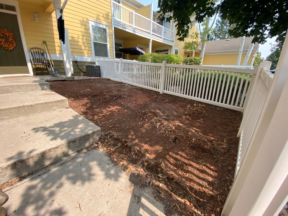 Need help creating a low maintenance yard