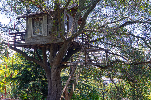 Dream Spaces: Branch Out Into a Tree House | Houzz NZ