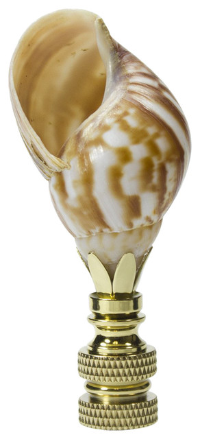 Snail Sea Shell Lamp Finial with Polished Brass Base 3.25"h - Beach ...