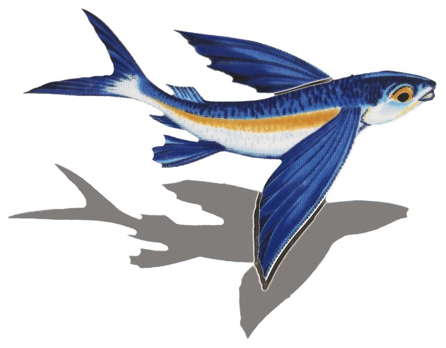 Flying Fish B Porcelain Swimming Pool Mosaic, 8"x5" - Beach Style ...