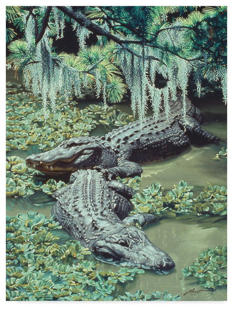 "Alligators " by D. Rusty Rust, Canvas Art, 24"x18" - Rustic - Prints ...