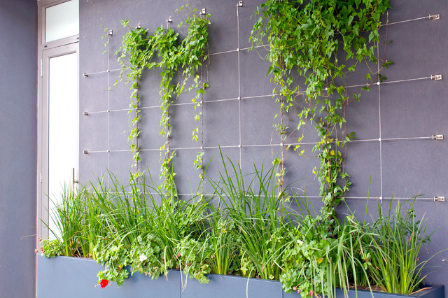 Green Wall Trellises - Contemporary - Other - by Tensile Cables