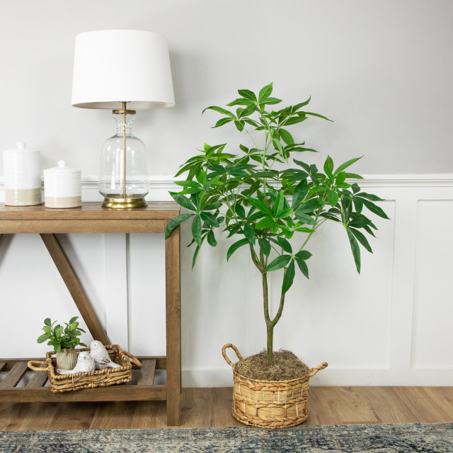 4' Artificial Unbraided Potted Green Money Tree - Modern - Artificial ... 4' Artificial Unbraided Potted Green Money Tree - Modern - Artificial ...