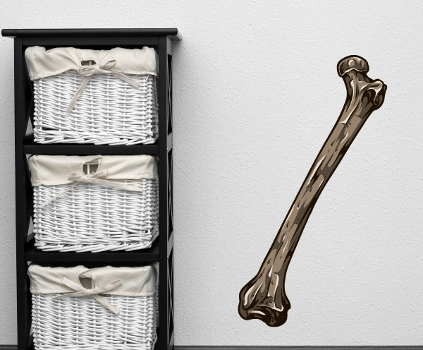Skeleton Bone Vinyl Wall Decal SkeletonBoneUScolor005, 36 in ...