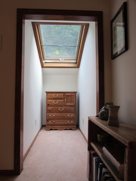 Need ideas for long narrow skylight space