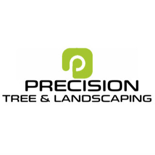 PRECISION TREE & LANDSCAPING - Project Photos & Reviews - Pearland, TX ...