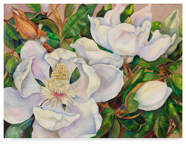 Joanne Porter 'Magnolia Tree' Canvas Art, 19"x14" - Contemporary ...