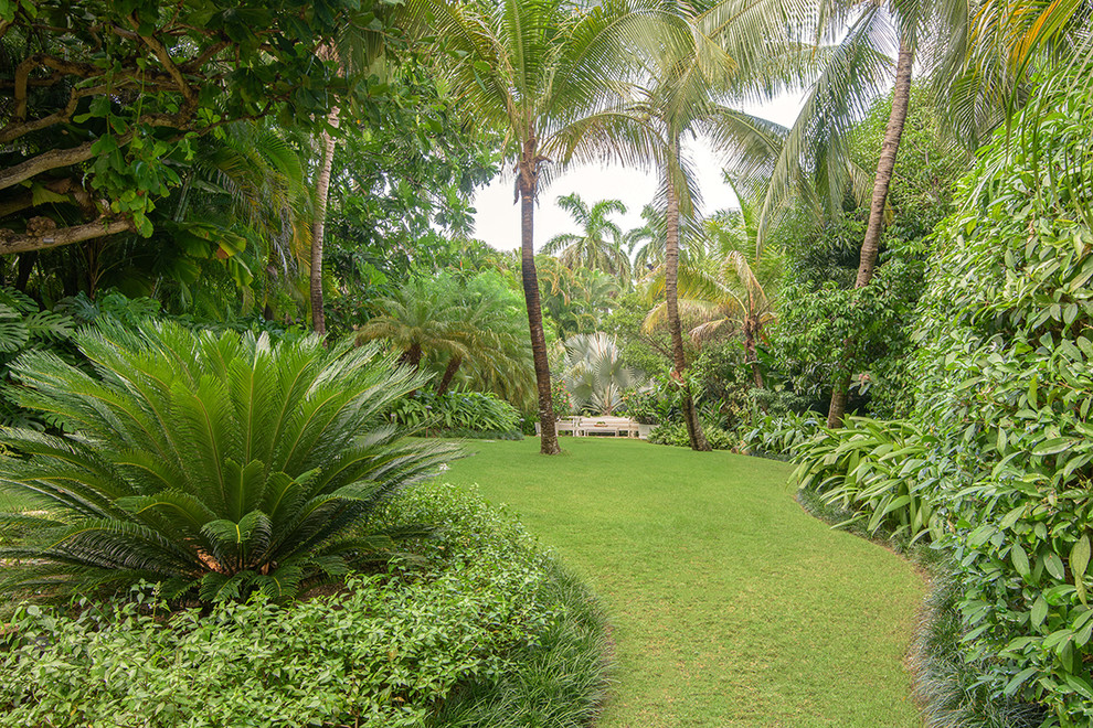 Caribbean Garden - Tropical - Landscape - Miami - by Craig Reynolds ...