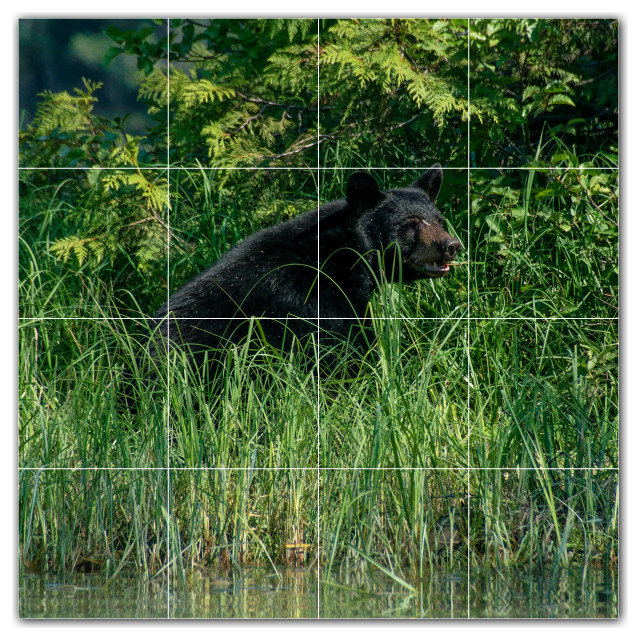 Bear Ceramic Tile Wall Mural HZ500122, 24" Wide x 24" High - Rustic ...