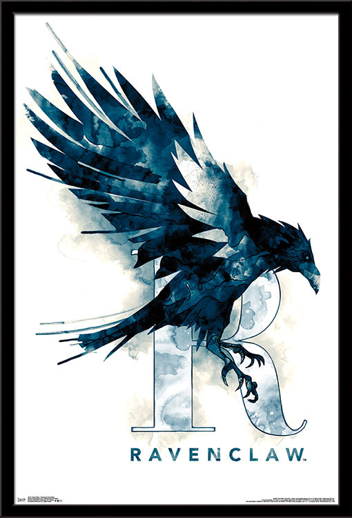 Harry Potter Ravenclaw Illustrated Poster, 24.25"x35.75" - Contemporary ...