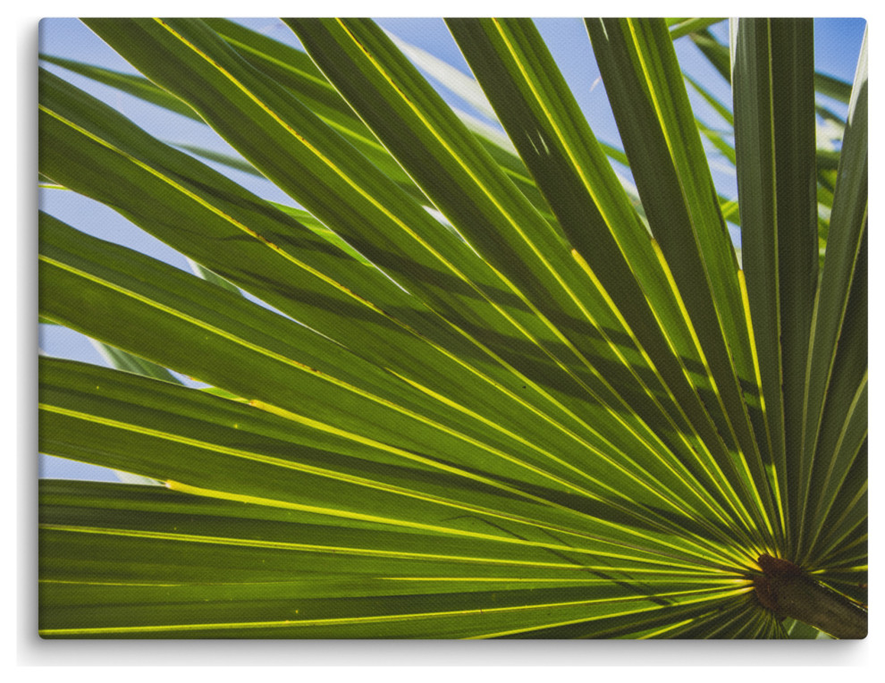 Colorized Wide Palm Leaves Tropical Botanical Canvas Wall Art Print, 12 ...