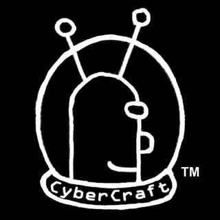 CYBERCRAFT ROBOTS - Project Photos & Reviews - Saint Petersburg, FL US ...