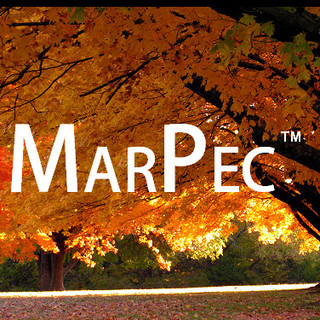 MARPEC - Project Photos & Reviews - Cedar Rapids, IA US | Houzz
