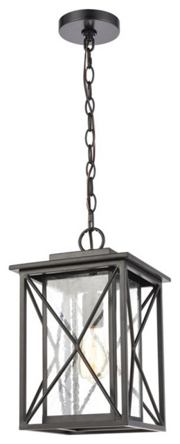 Elk Home Carriage Light 9" 1-Light Glass Outdoor Hanging Light in Matte ...