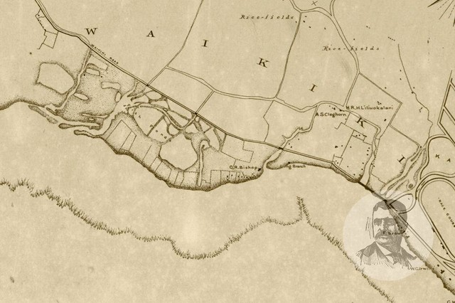 Historic Honolulu, HI Map 1887, Vintage Hawaii Art Print Decor, 24"x36 ...