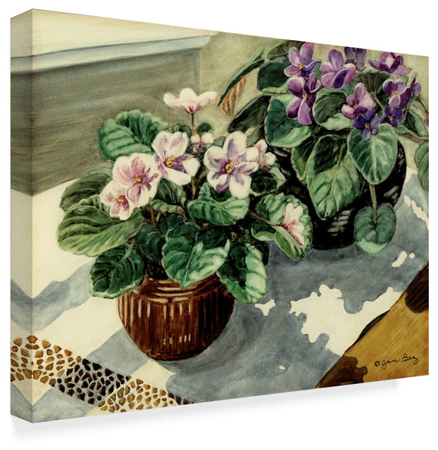 Jan Benz 'African Violets' Canvas Art, 32"x24" - Contemporary - Prints ...