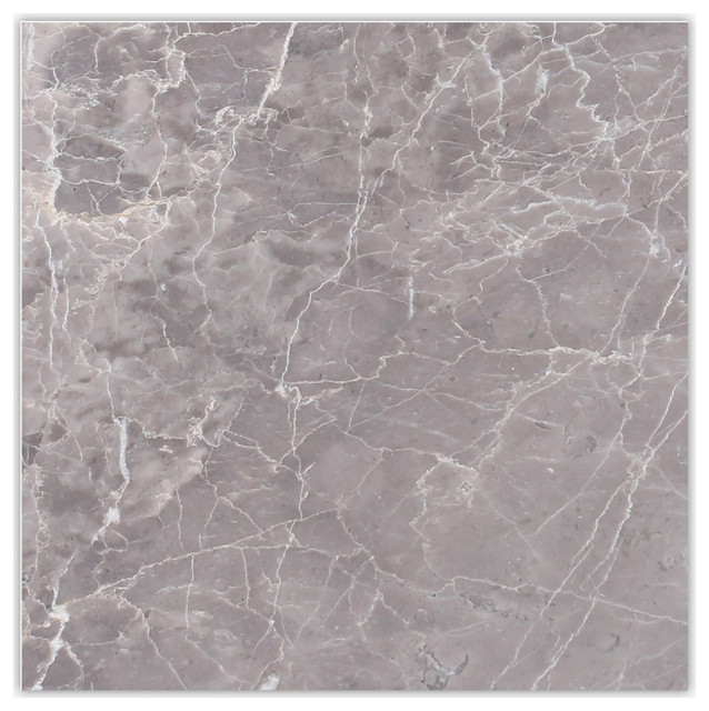 Mountain Gray Polished 12x12 Marble Tile, 12x12 - Traditional - Wall ...