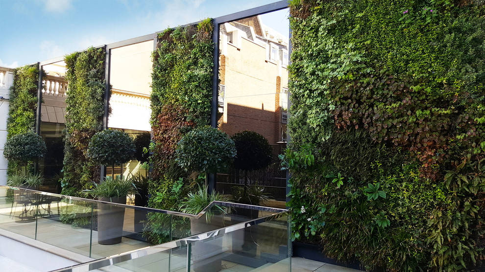 10 Reasons to Have a Living Wall in Your Home | Houzz UK