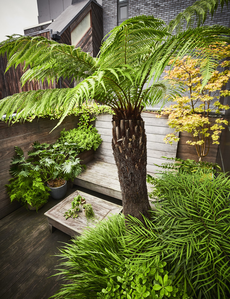 Leo Yard - Balcony - London - by Adolfo Harrison Gardens | Houzz