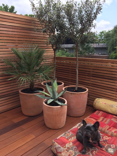 Moroccan roof terrace - Tropical - Balcony - London - by Daryl Gannon ...