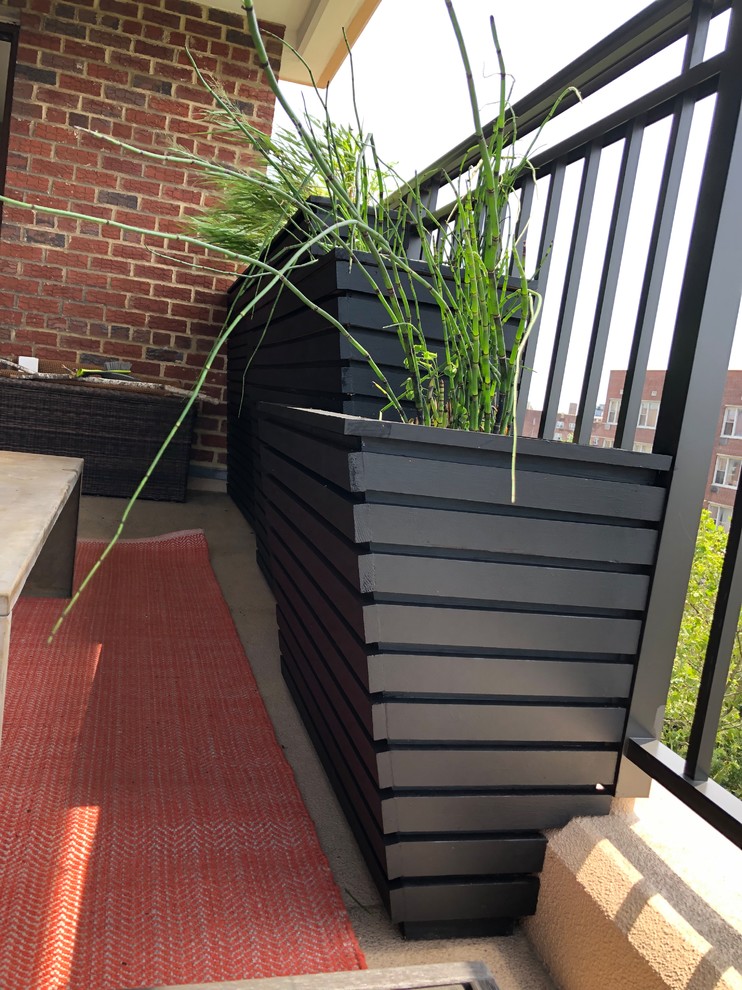 Park Slope Co-op balcony - Modern - Balcony - New York - by Little ...