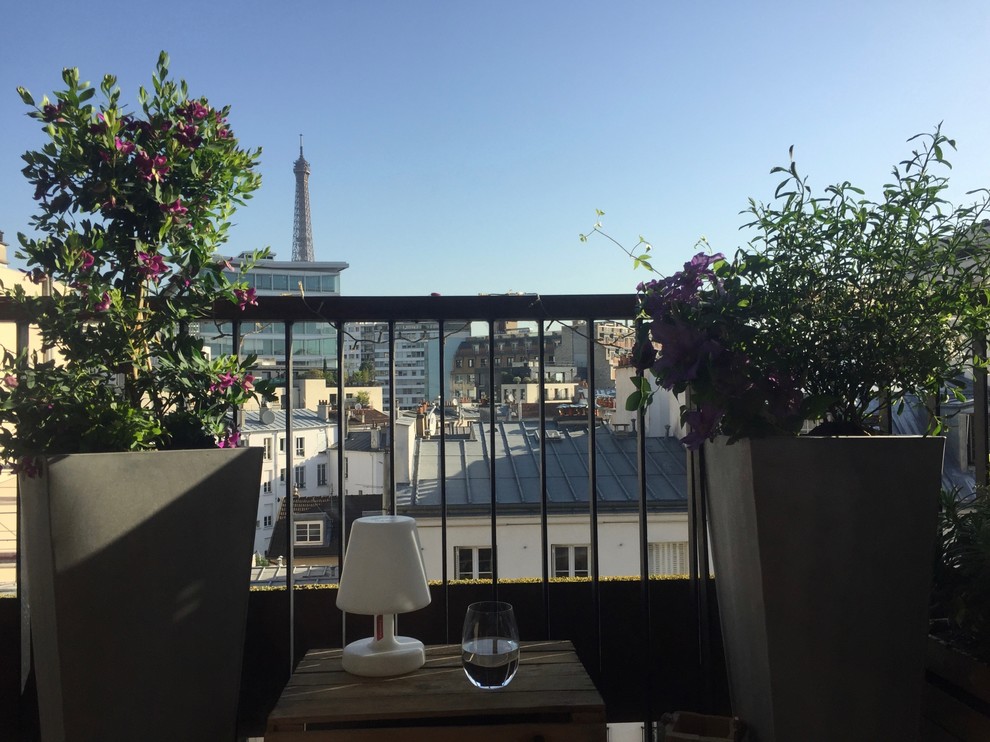 Aménagement paysager d'un balcon à Paris 15e - Exotique - Balcon ...