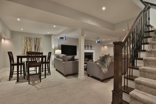 1107 Deer Run Home Renovation - Transitional - Basement - by Alair ...