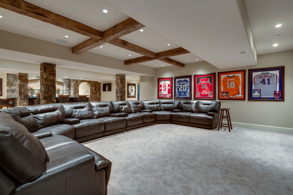 A basement for any sporting event - Craftsman - Basement - DC Metro ...