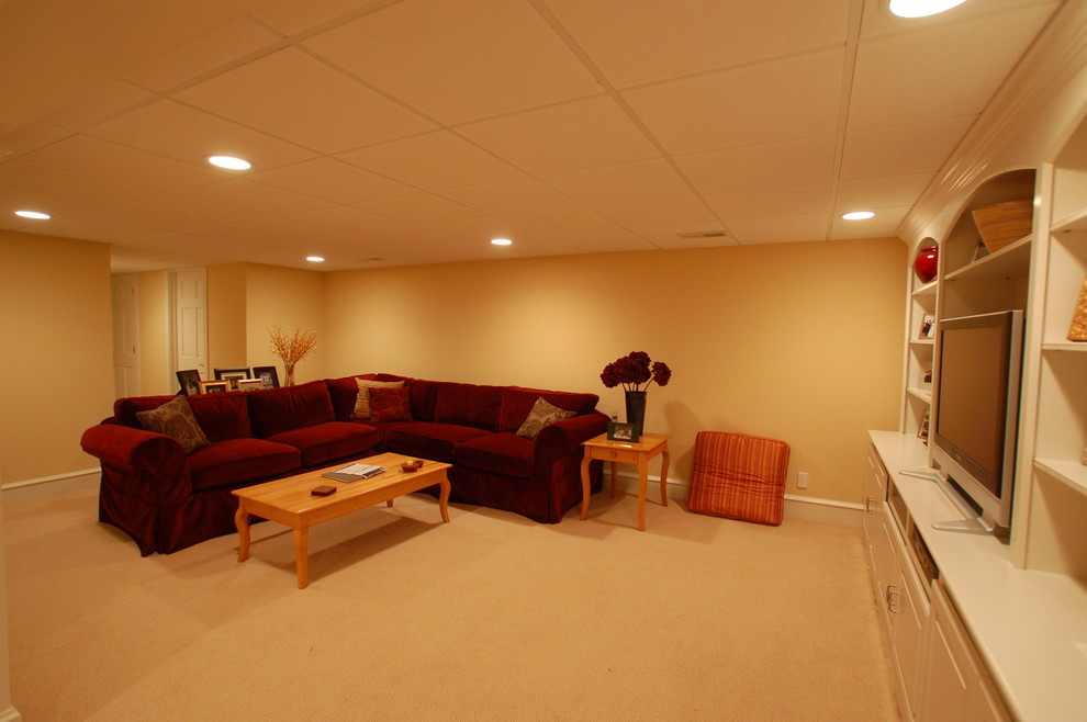 Basements - Traditional - Basement - Philadelphia - by Signature ...