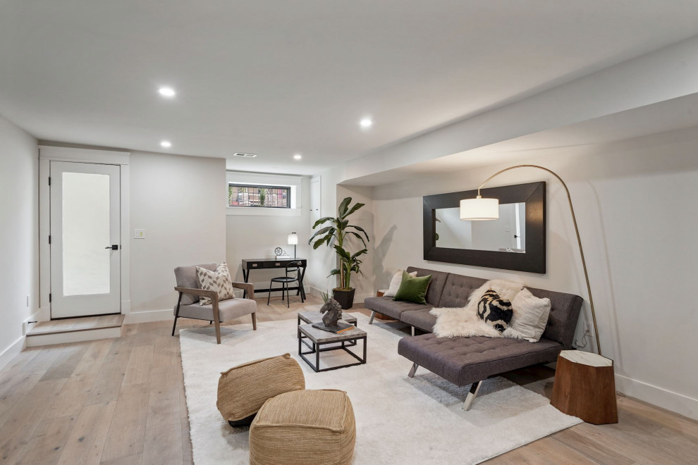 Capitol Hill Rowhome - Contemporary - Basement - DC Metro - by EastWing ...