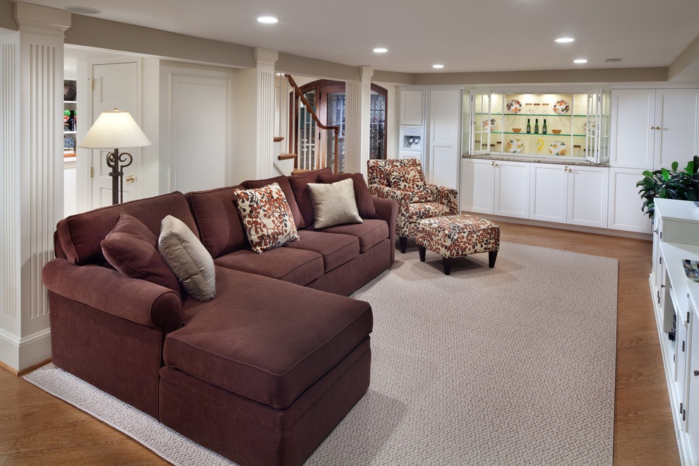 Cathedral Skylight - Traditional - Basement - DC Metro - by Anthony ...