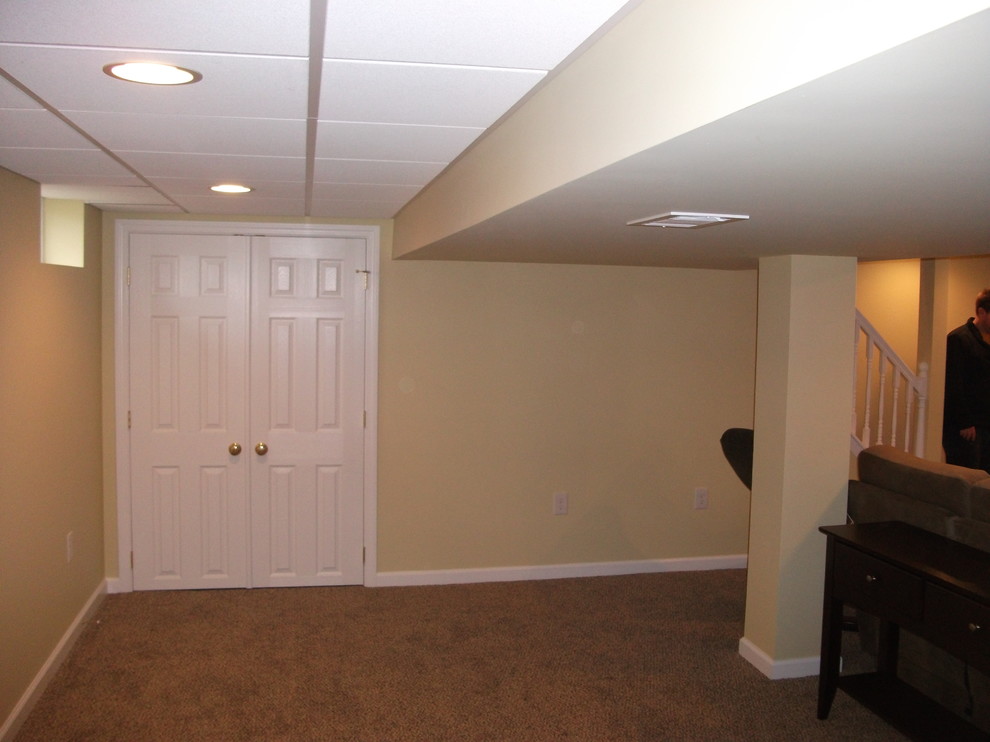 Clementon Basement - Traditional - Basement - Philadelphia - by Livin ...