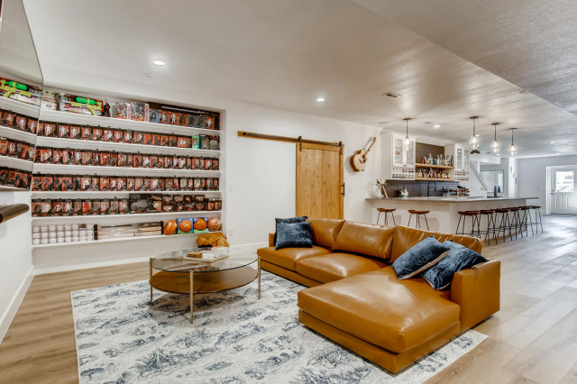 Contemporary Basement - Contemporary - Basement - Denver - by D&G ...