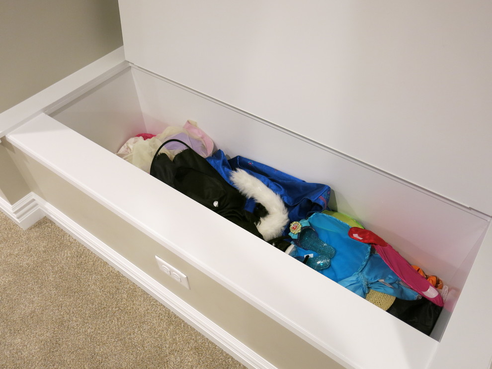 Downers Grove 6 - Traditional - Basement - Chicago - by Function ...